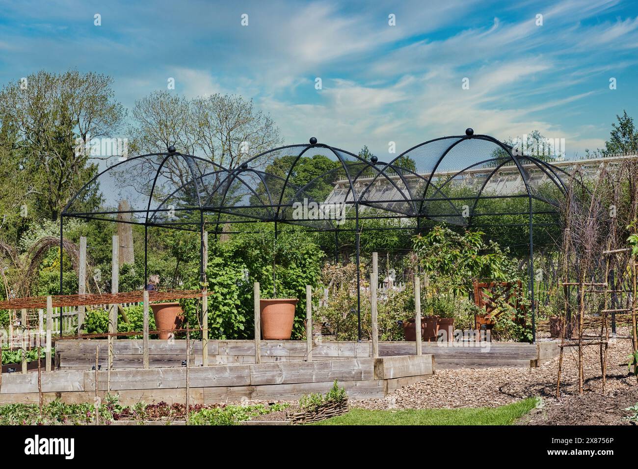 A garden with raised wooden beds and a large metal dome structure for ...