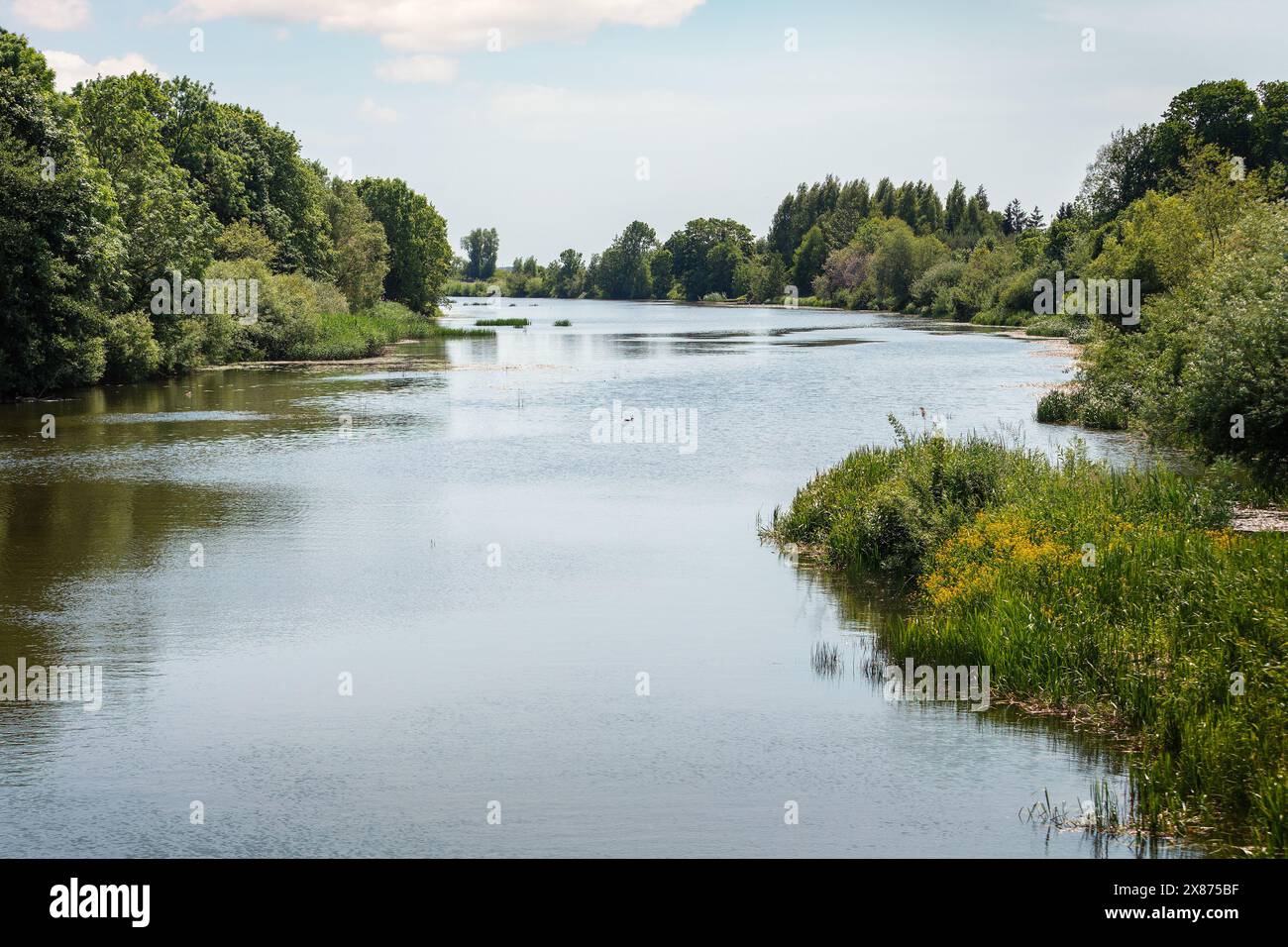 Landscape of the Bend of the Minija River in Lithuania Stock Photo - Alamy