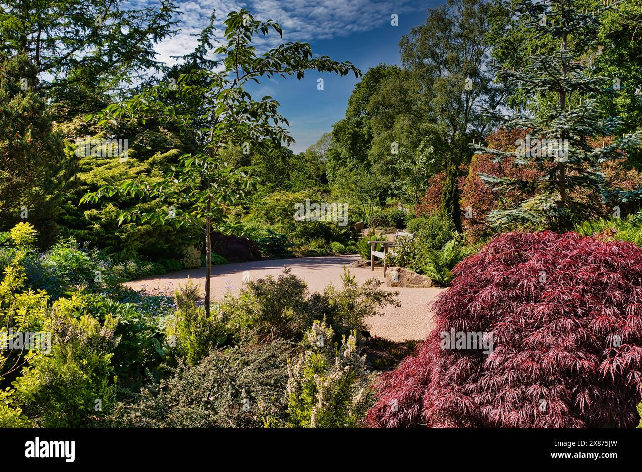 A lush botanical garden with a variety of trees, shrubs, and plants ...