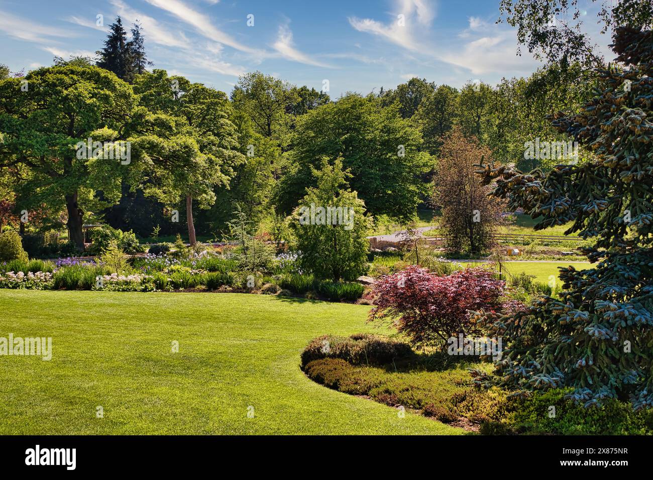 A lush green garden with various trees, shrubs, and a well-maintained ...