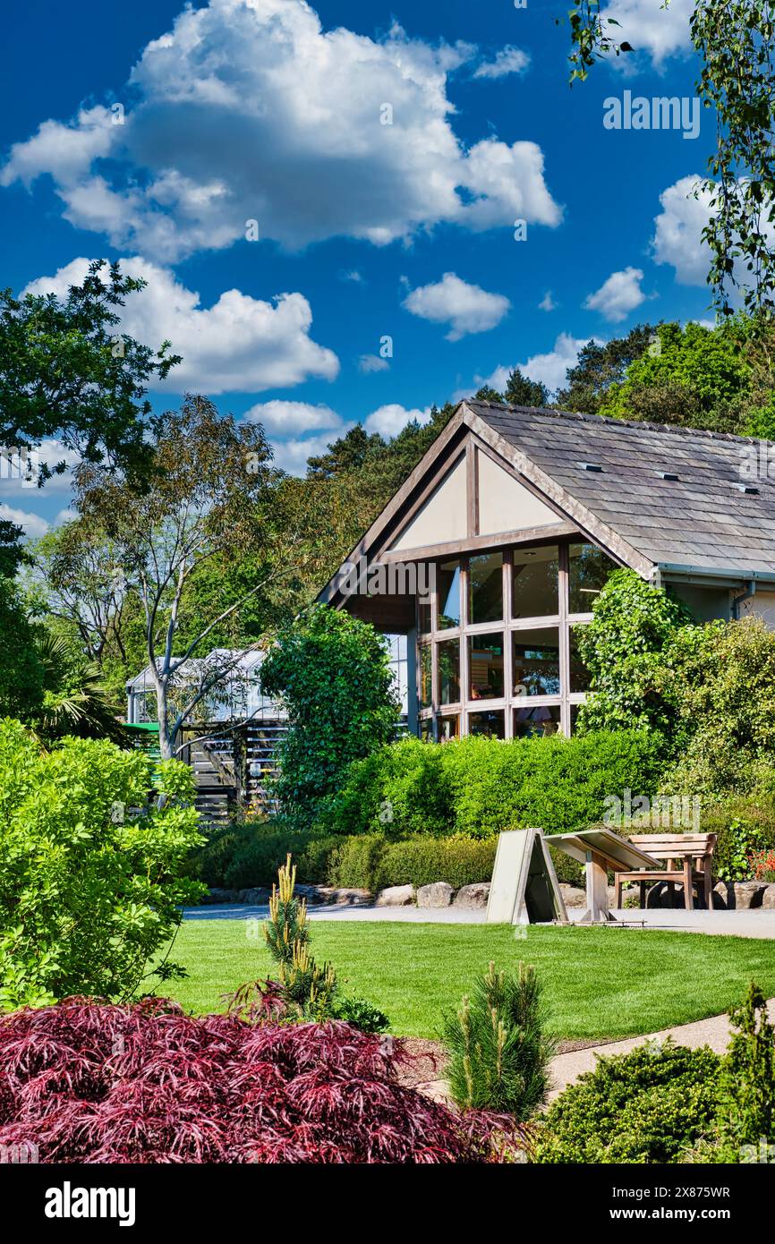 A beautiful garden with lush greenery, a well-maintained lawn, and a ...