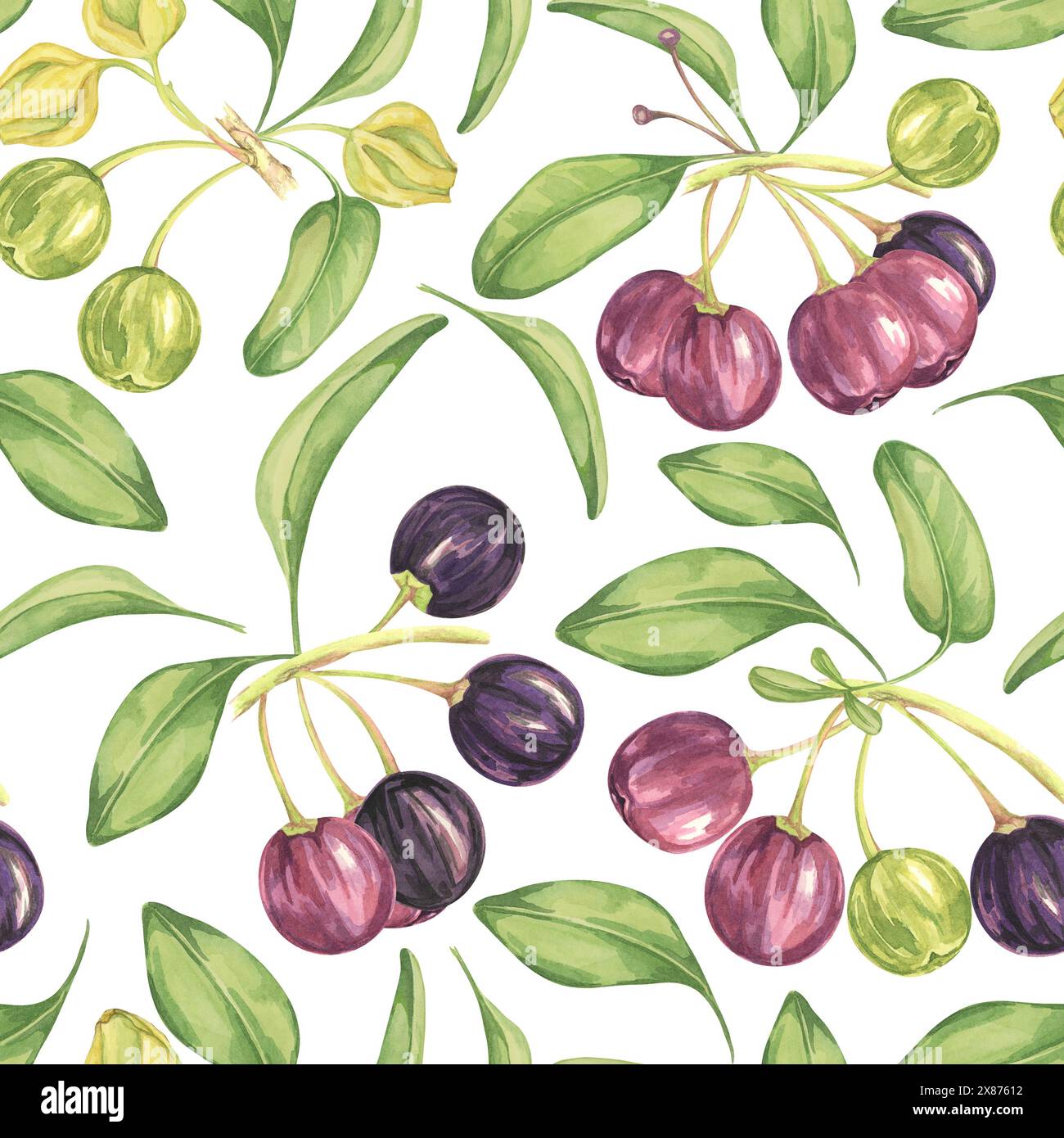 Maqui berry, purple pink fruit seamless pattern with leaves ...