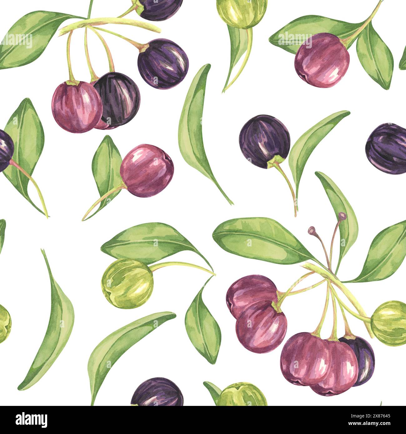 Maqui berry, purple pink fruit seamless pattern with leaves ...