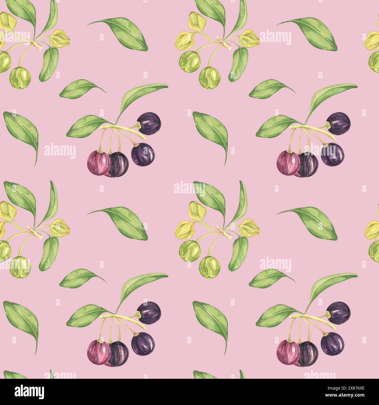 Maqui berry, purple pink fruit seamless pattern with leaves ...