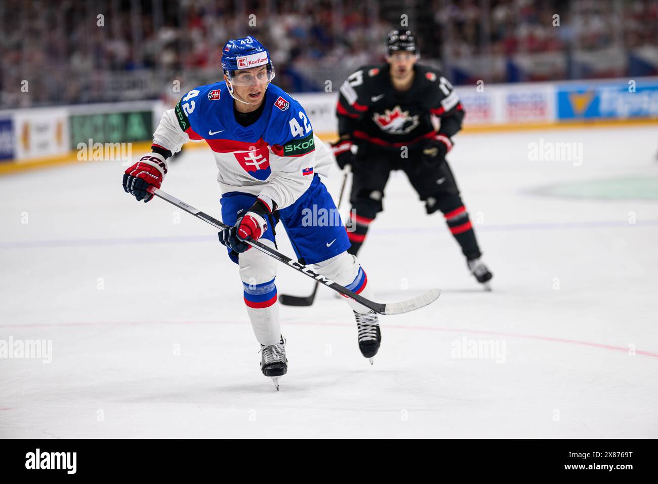 PRAGUE, CZECH REPUBLIC - 23 MAY, 2024:Mascot Bob. The game of IIHF 2024 ...