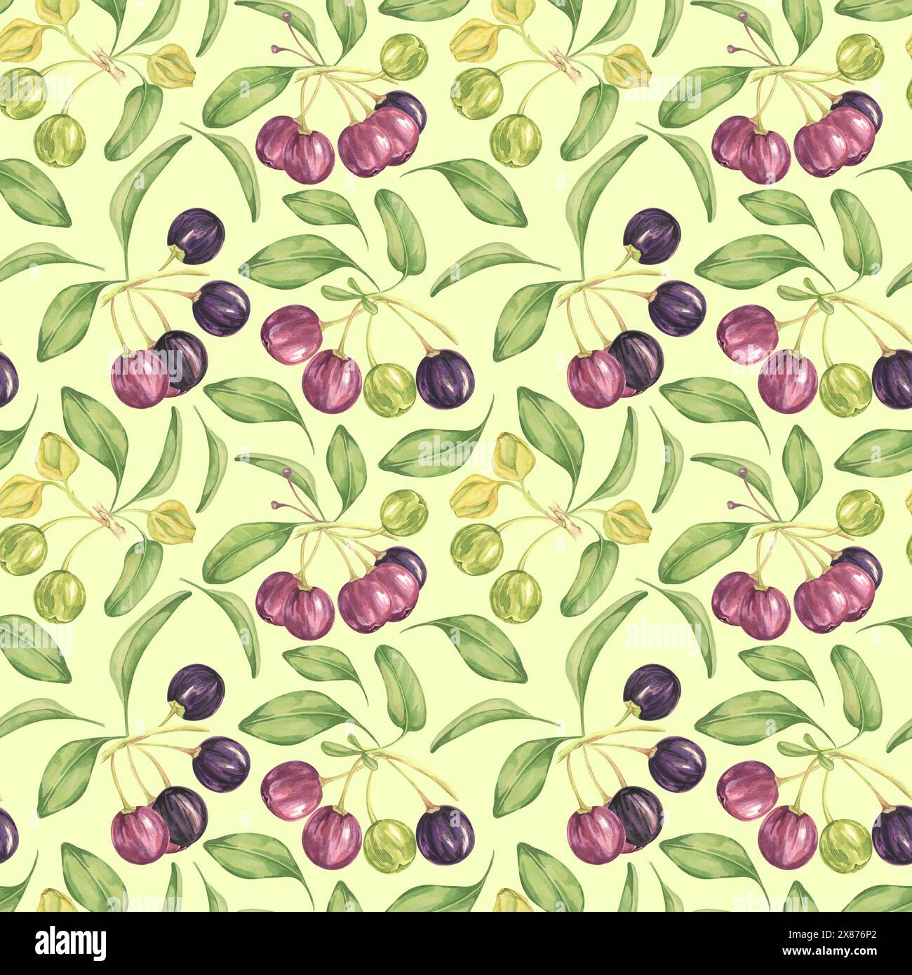 Maqui berry, purple pink fruit seamless pattern with leaves ...