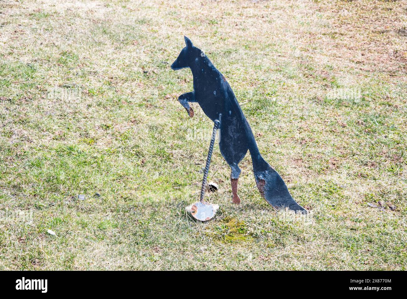 Sheet metal fox sculpture in downtown Summerside, Prince Edward Island ...