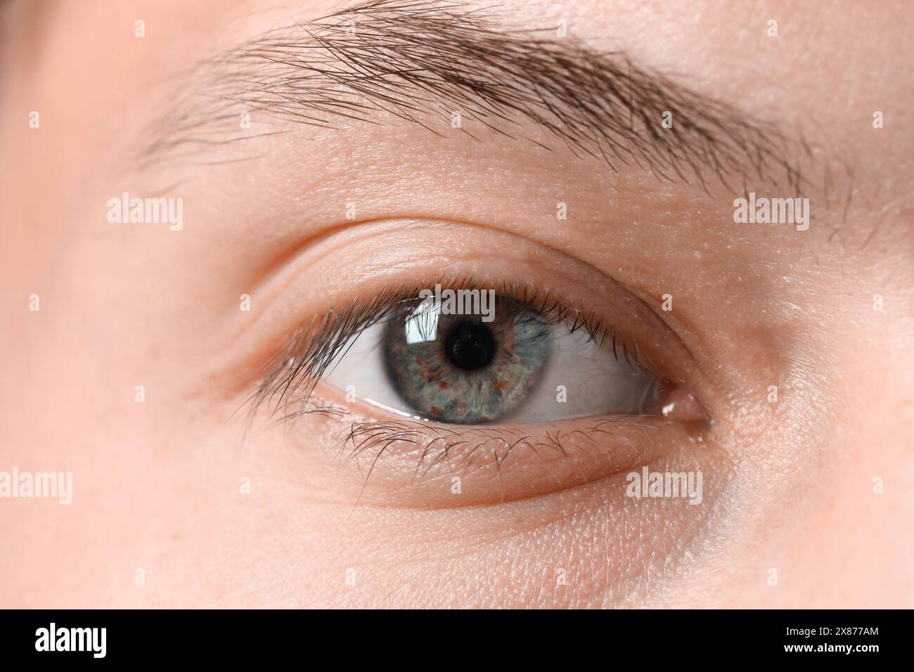 Perfect vision. Man with beautiful eyes, closeup Stock Photo - Alamy