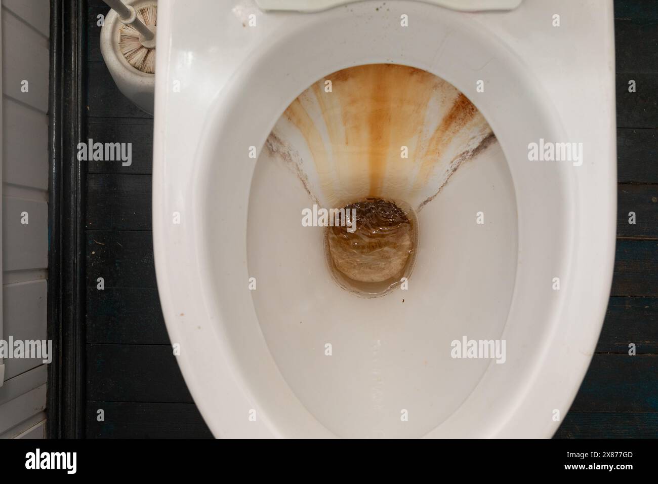 White Toilet With Shell Inside Stock Photo - Alamy