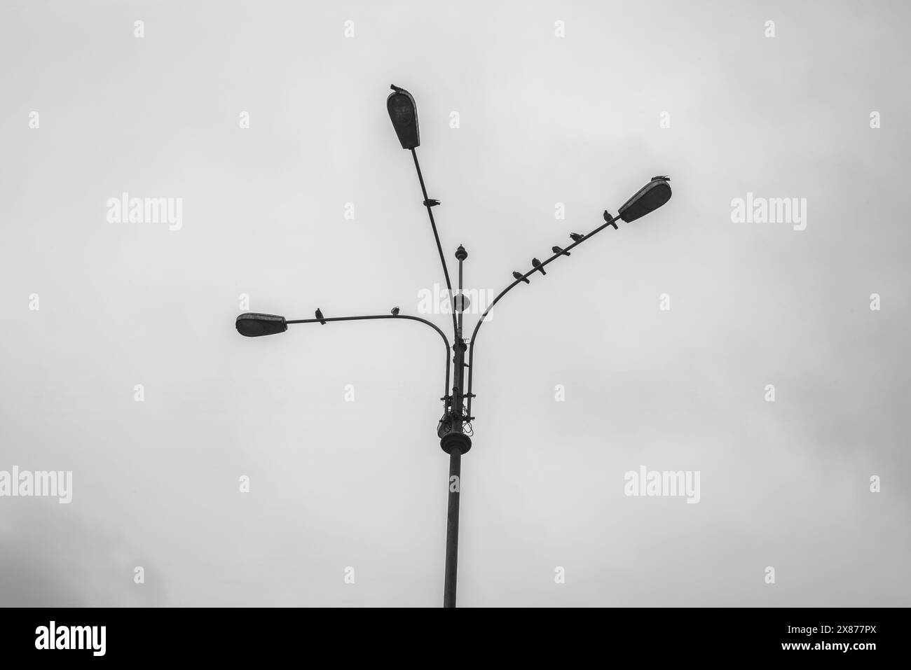 3-light street lamp on dark sky in Lima, Peru Stock Photo - Alamy