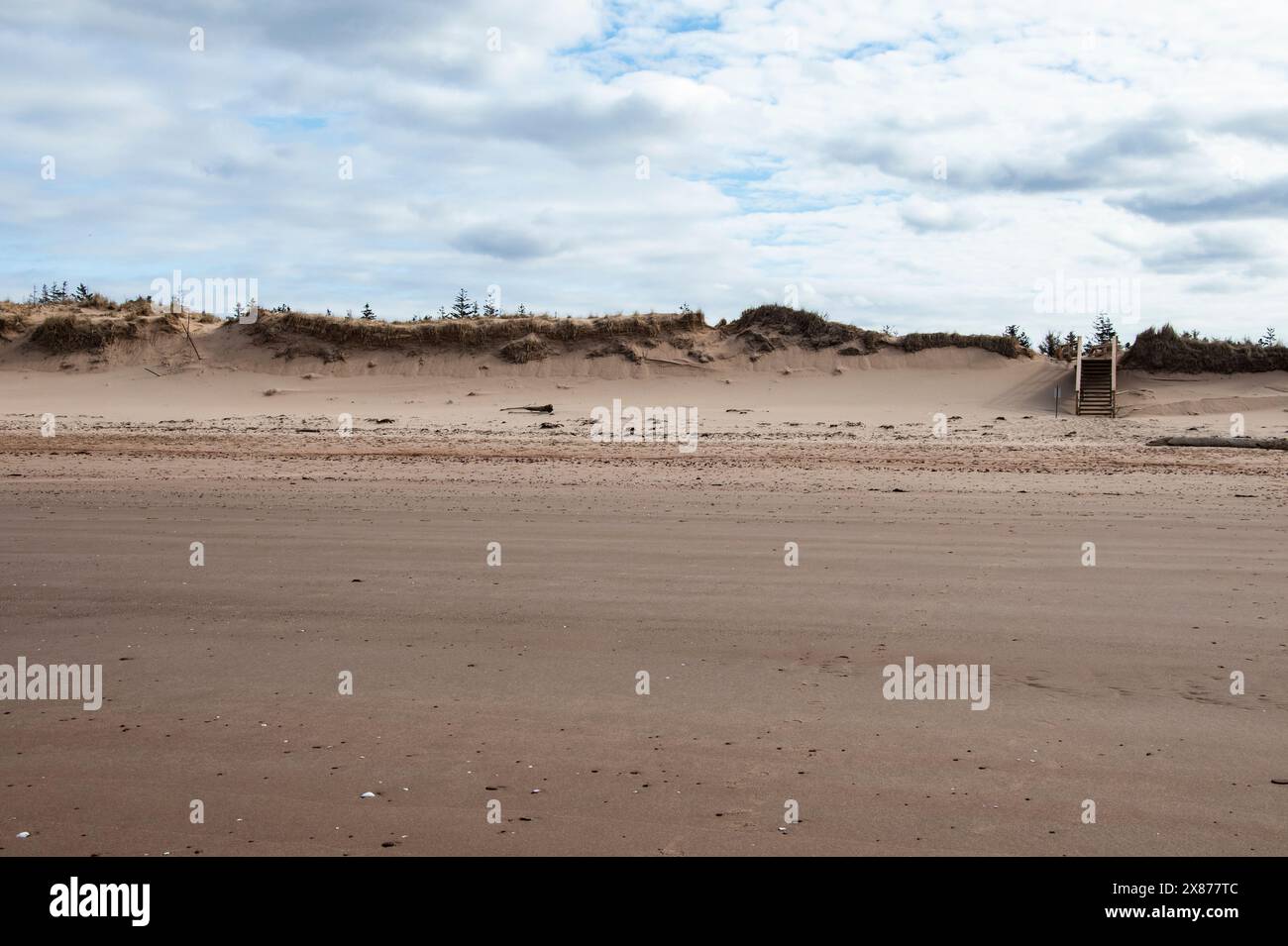 Sand dunes at Brackley Beach, Prince Edward Island, Canada Stock Photo ...