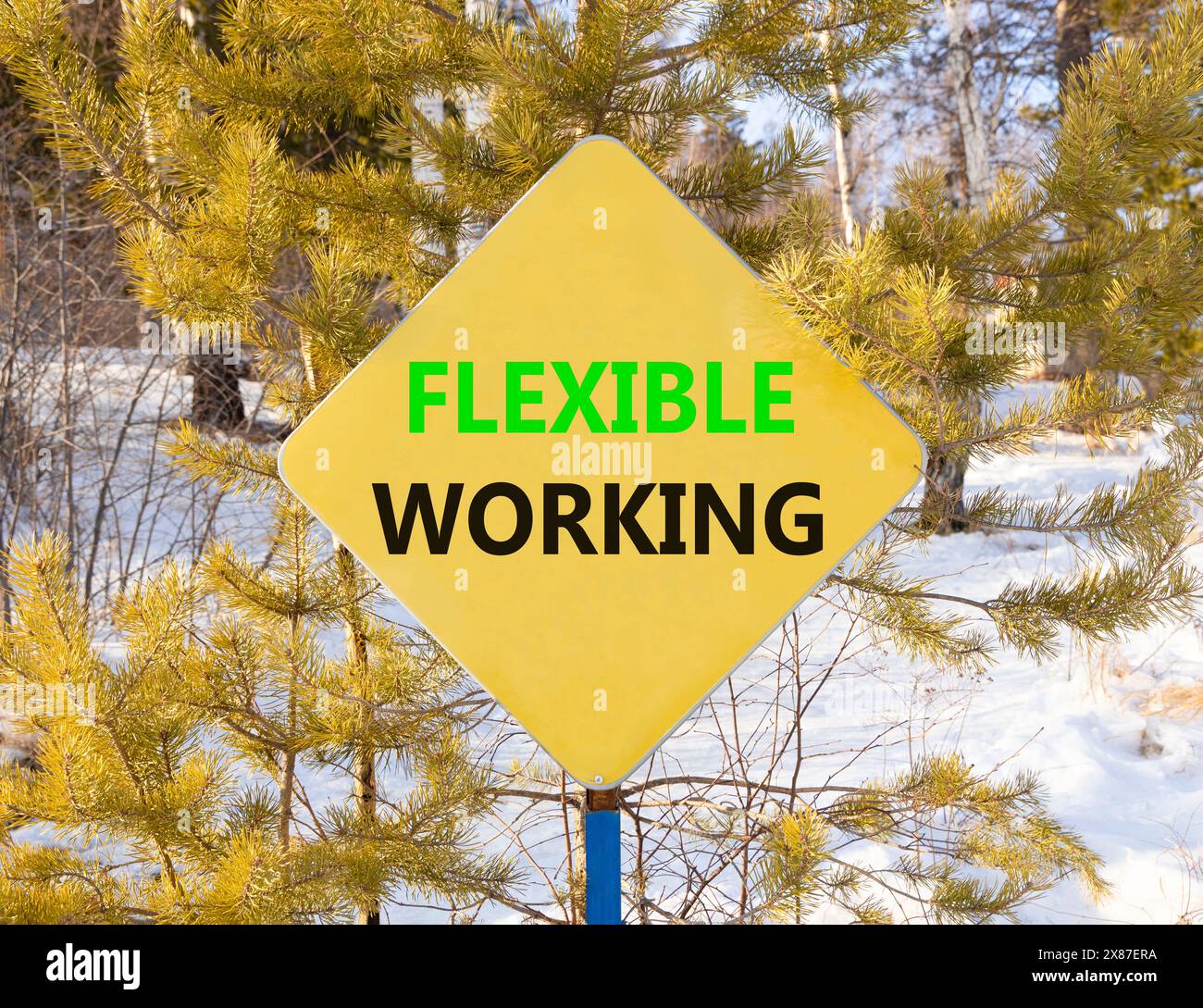 Flexible working symbol. Concept words Flexible working on beautiful ...