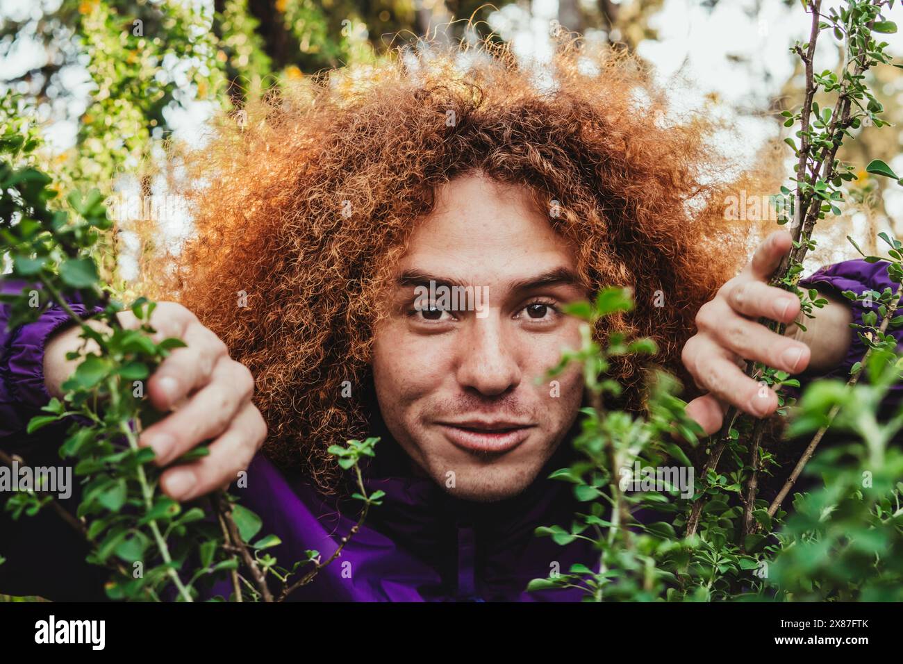 Afro man hiding behind bush at park Stock Photo - Alamy
