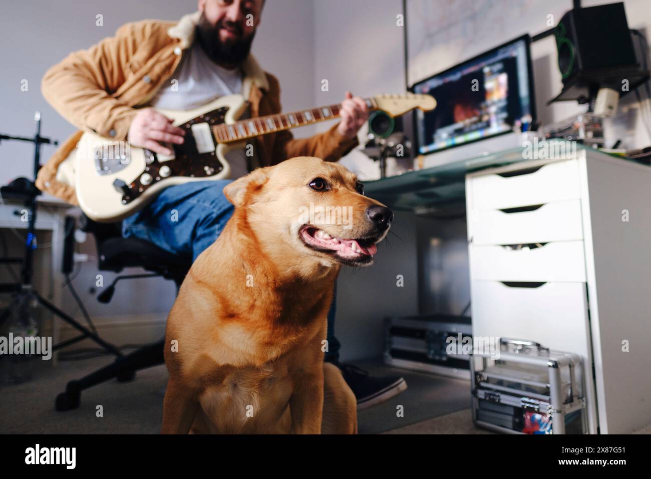 Dog sitting next to owner at home Stock Photo - Alamy