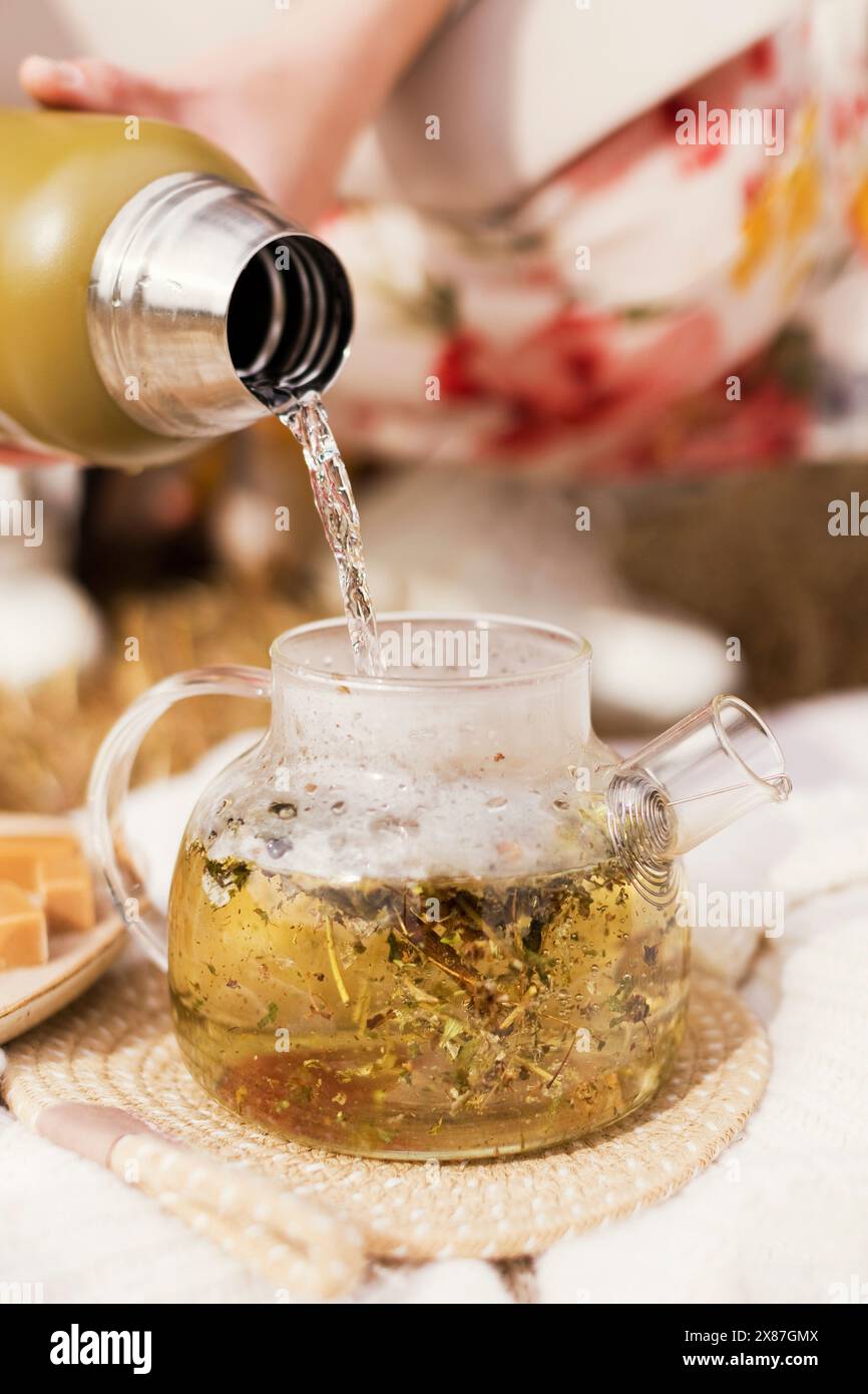 Vertical woman preparing picnic food hi-res stock photography and ...
