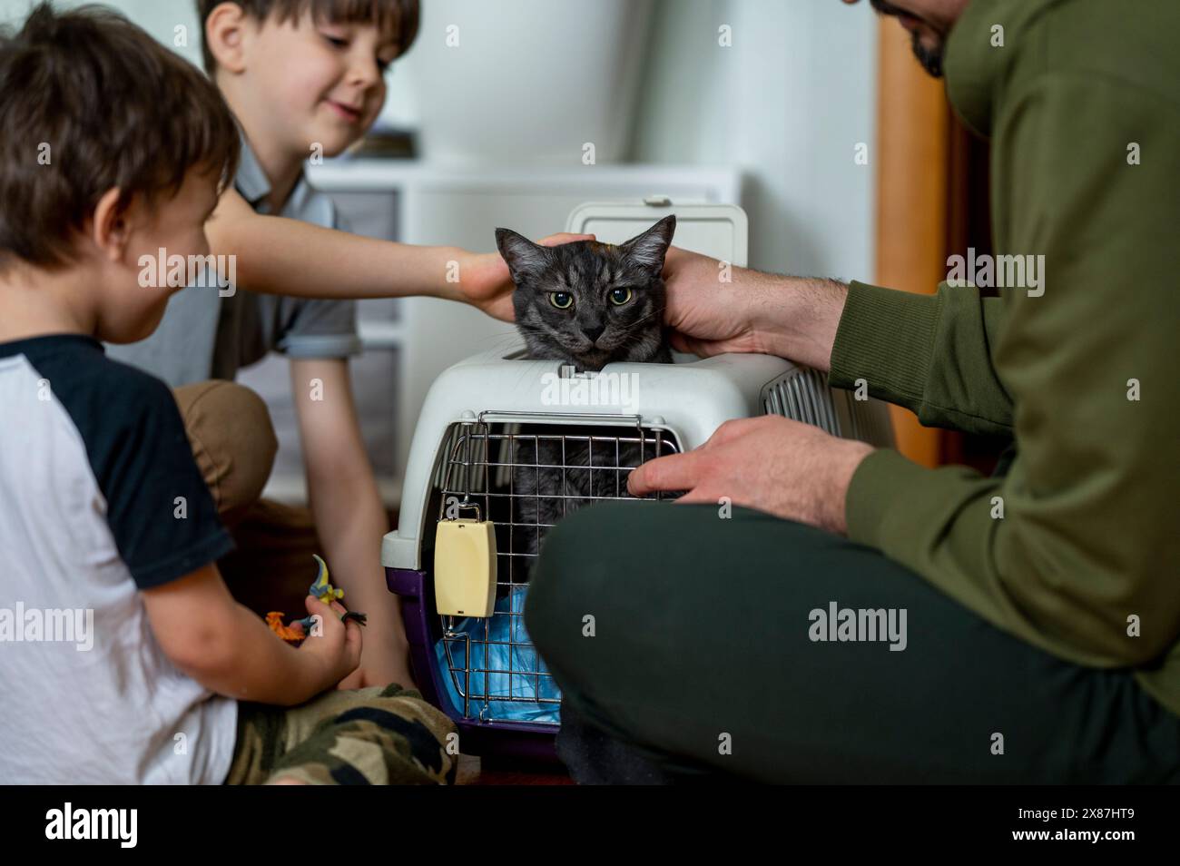 Father and sons with cat in cage at home Stock Photo - Alamy
