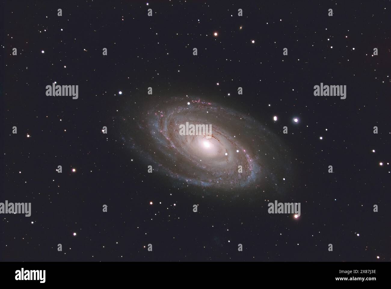 Spiral galaxy Messier 81 in constellation Ursa Major Stock Photo - Alamy