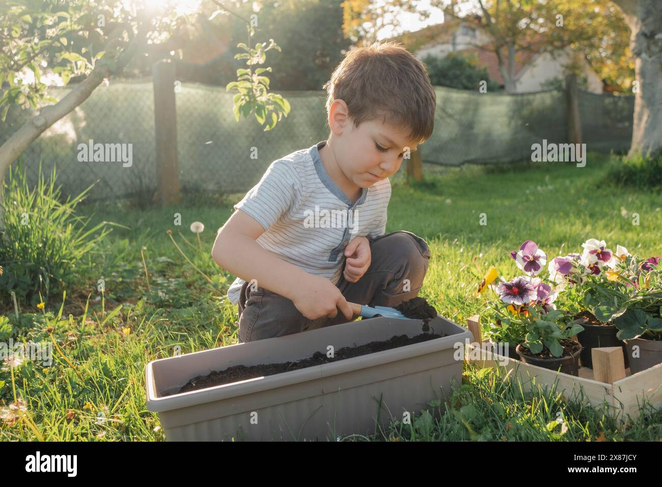 Boy digging soil from pot using shovel in garden Stock Photo - Alamy