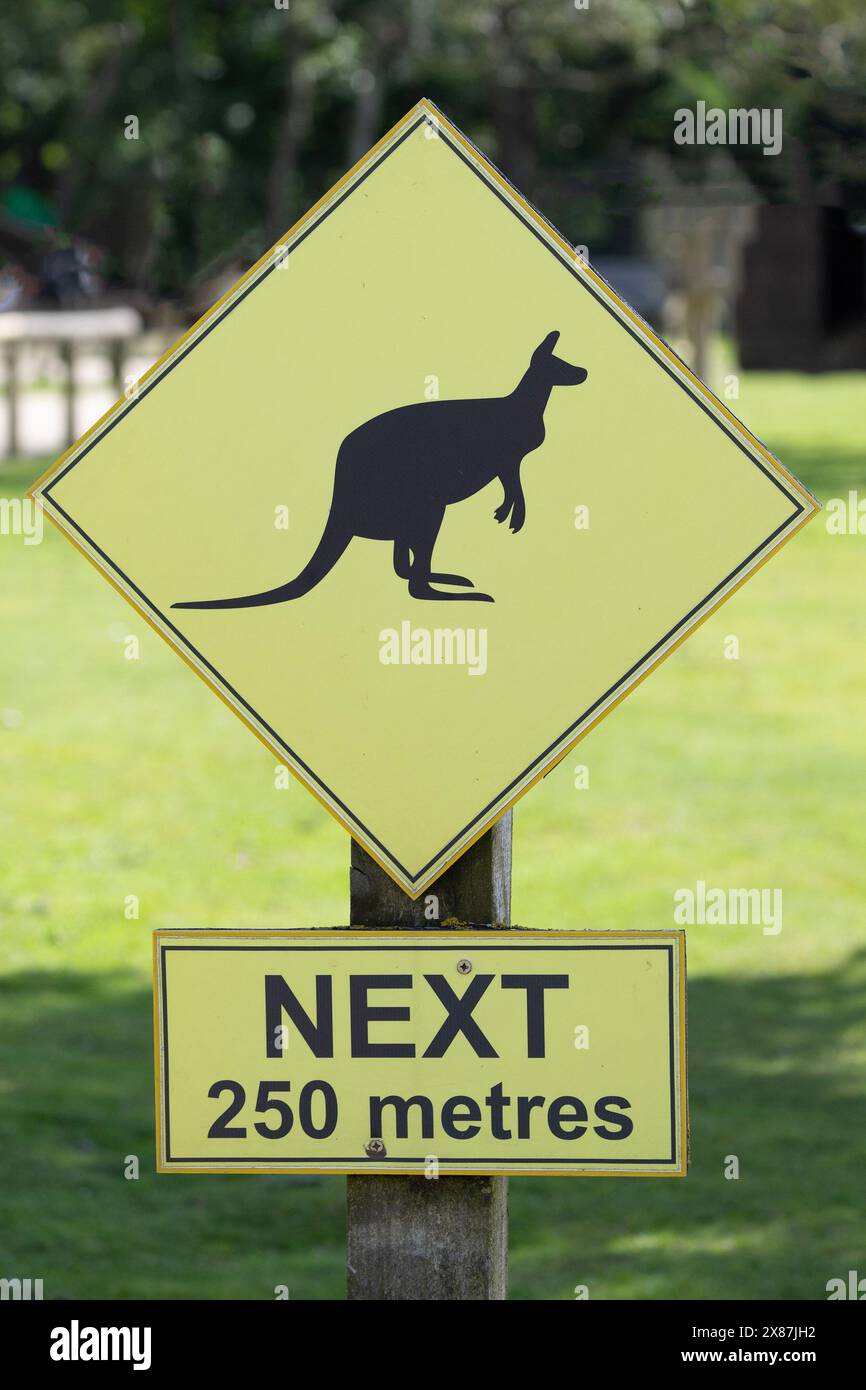 A yellow Wallaby (Macropodidae) warning sign alerting visitors to the ...