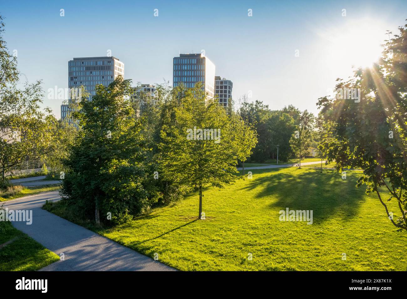 Green park grass trees hi-res stock photography and images - Alamy