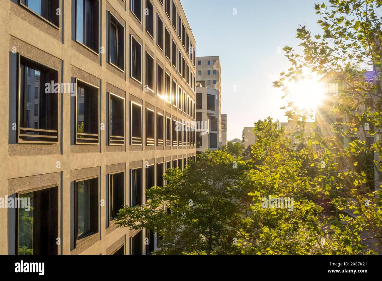 Modern office buildings near trees in Munich city Stock Photo - Alamy