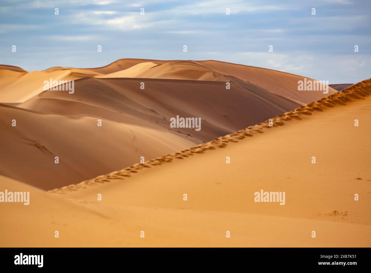 Namibia, Sand dunes near Sossusvlei in Namib-Naukluft National Park ...
