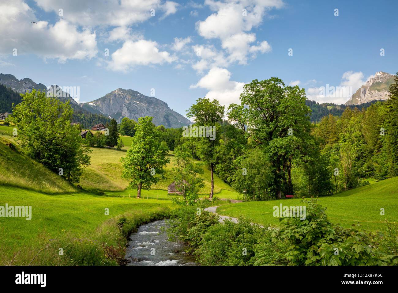 Stream flowing through mountain hi-res stock photography and images - Alamy