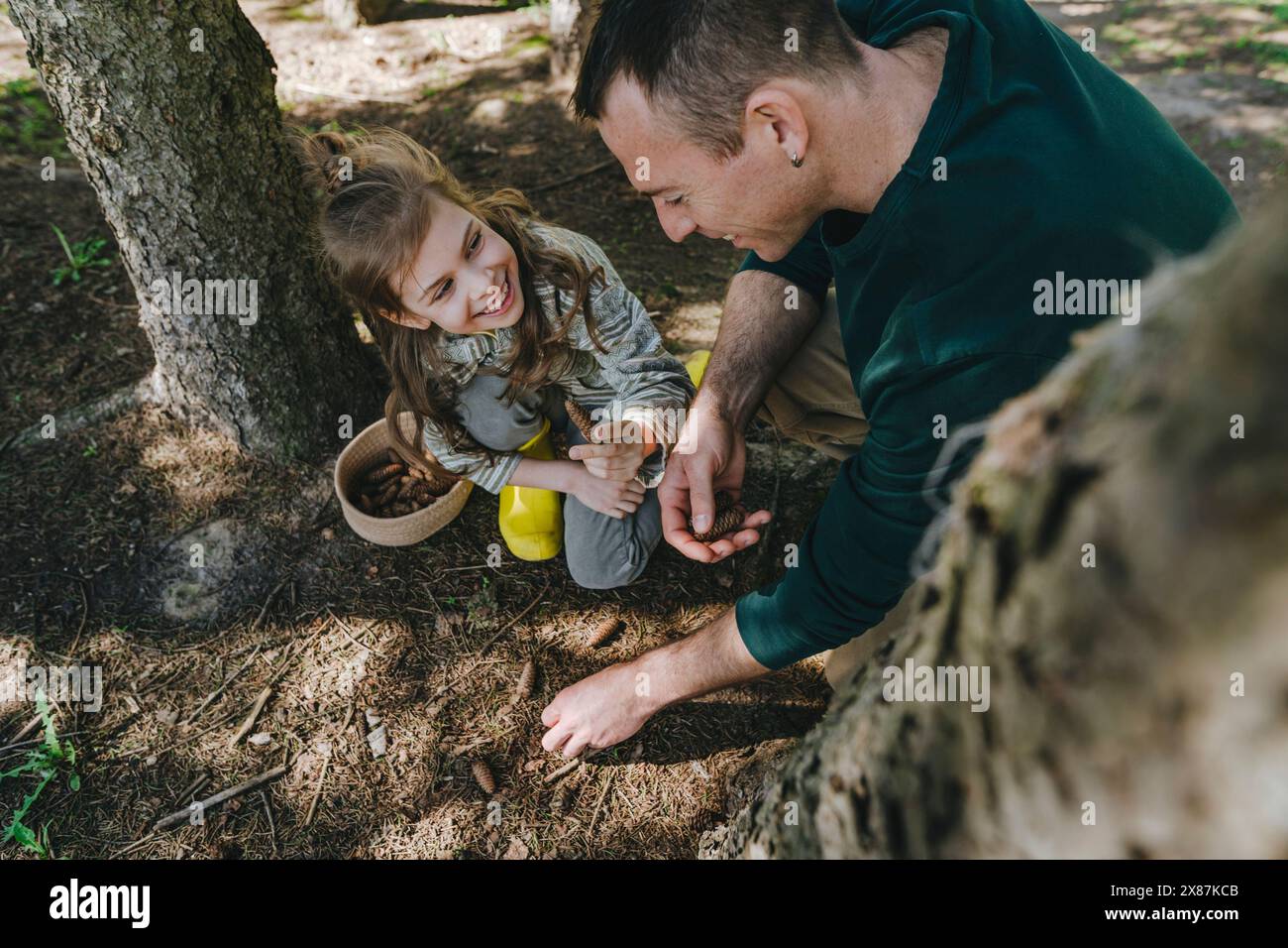 Happy father and daughter collecting pine cones together in forest ...