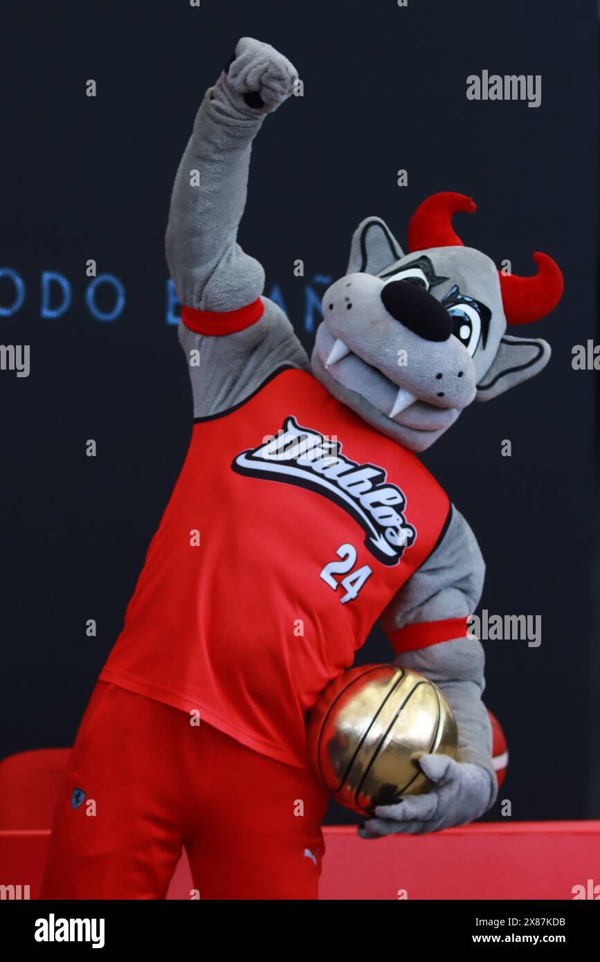 Rocco mascot hi-res stock photography and images - Alamy