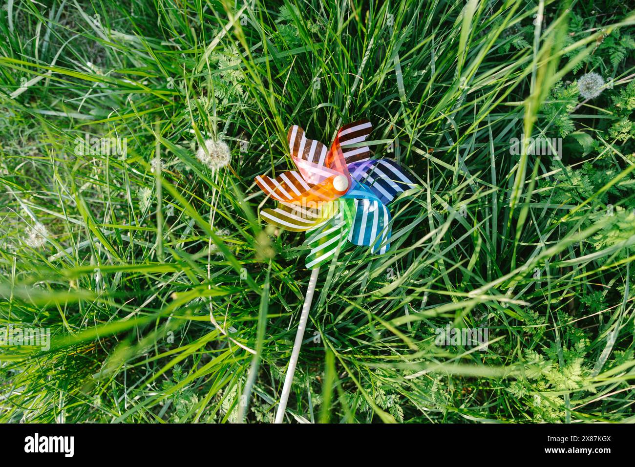 Rainbow grass hi-res stock photography and images - Alamy