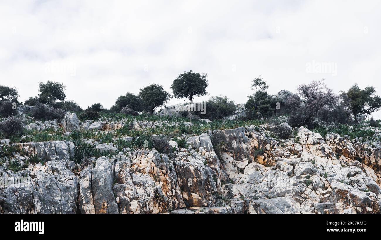 Rocky Mediterranean terrain stretches vast and wide, dotted with ...