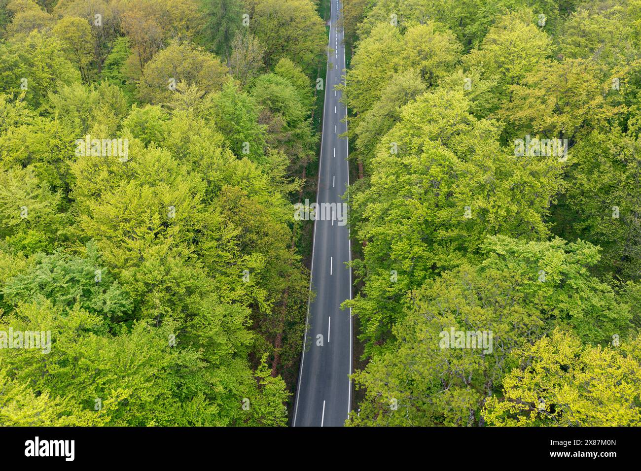 Germany, Bavaria, Aerial view of asphalt road cutting through green ...