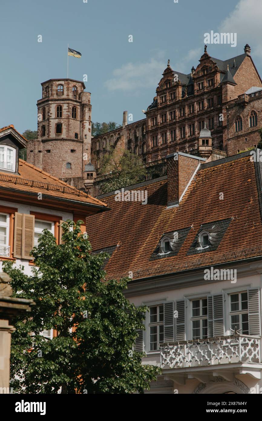 Germany, Baden-Wurttemberg, Heidelberg, Old town houses with Heidelberg ...