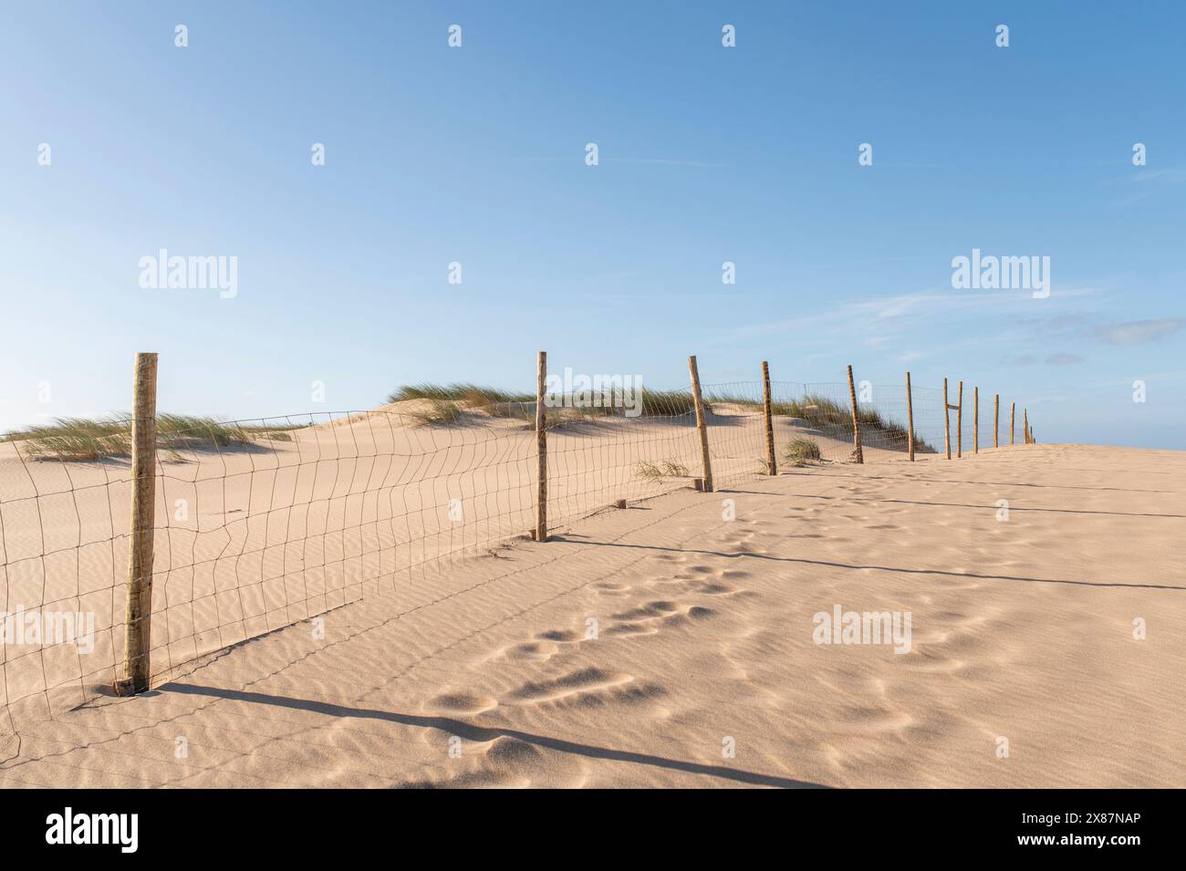 Portugal, Fence stretching along sandy beach Stock Photo - Alamy