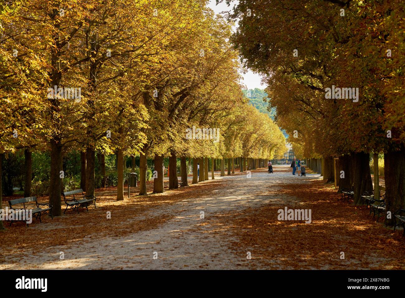Vienna, Austria – September 25, 2023 Schonbrunn Palace Tree Lined Path ...