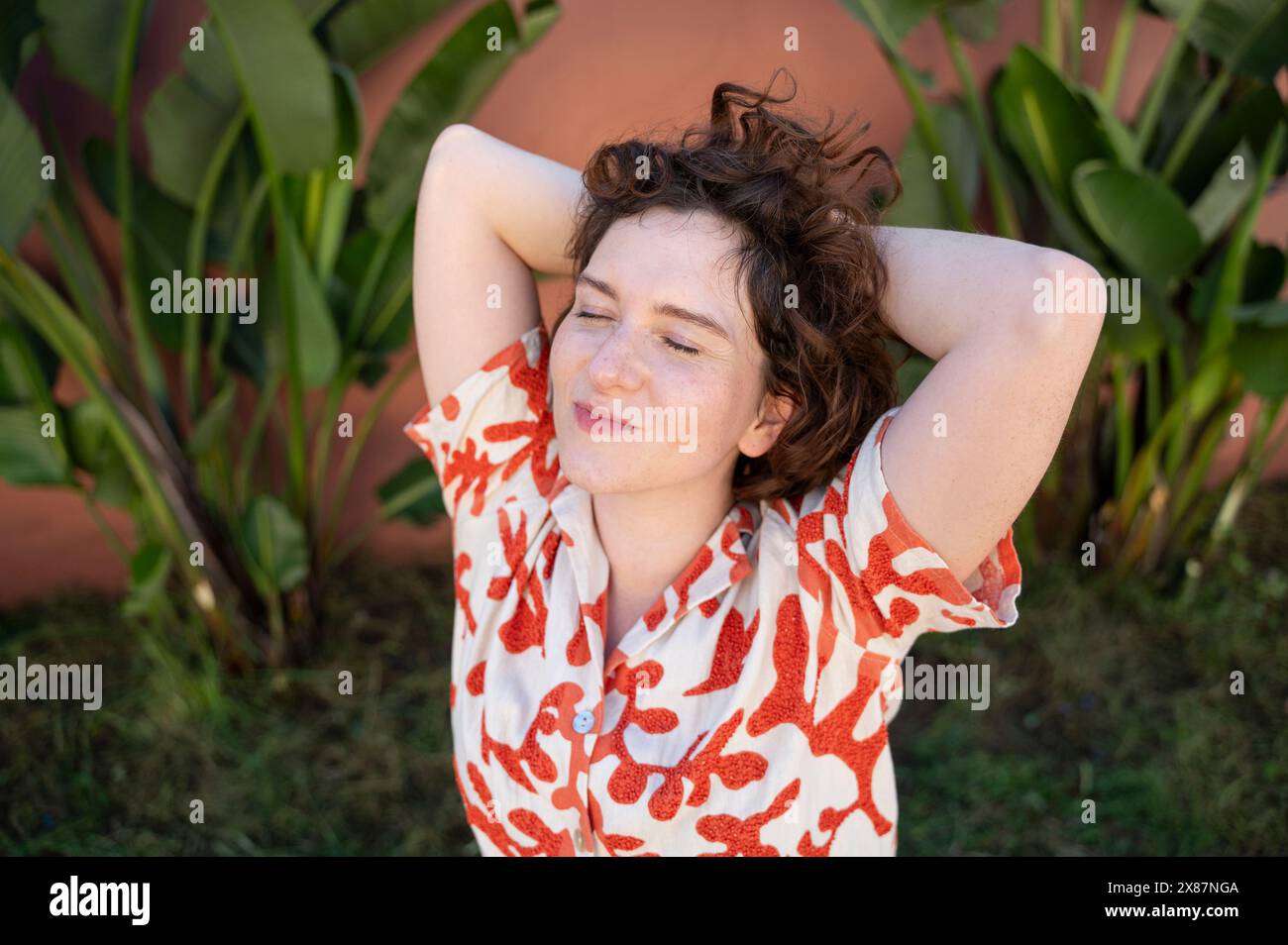 Short palm trees hi-res stock photography and images - Alamy