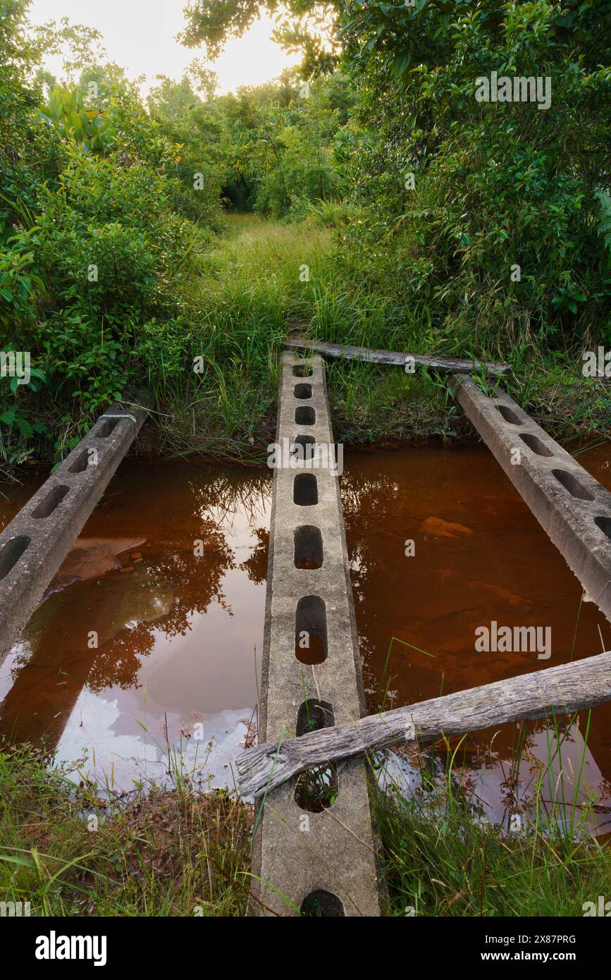 Pole bridge branch hi-res stock photography and images - Alamy