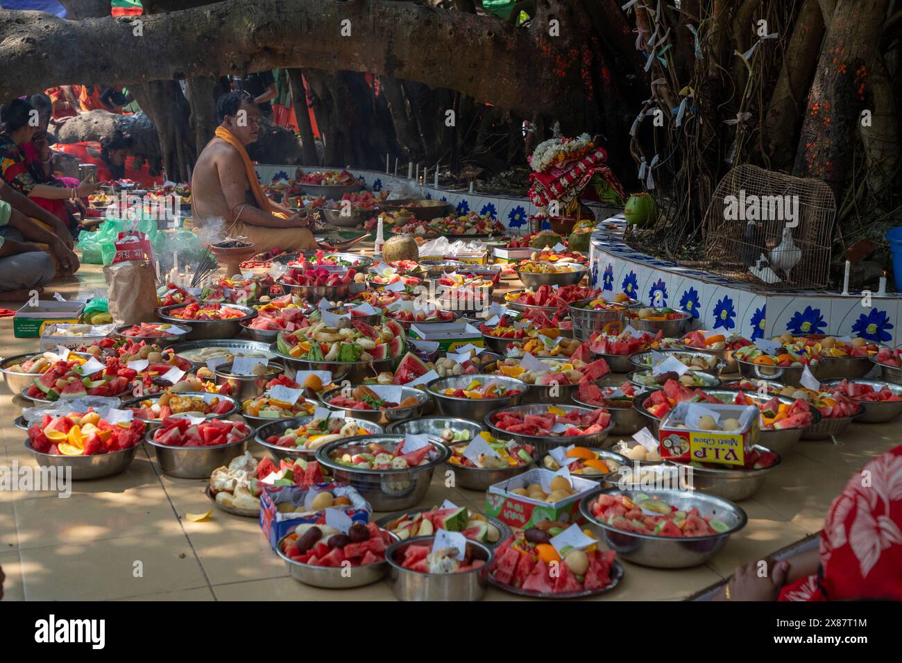 Devotees gather to worship the banyan tree near Sonargaon Upazila ...