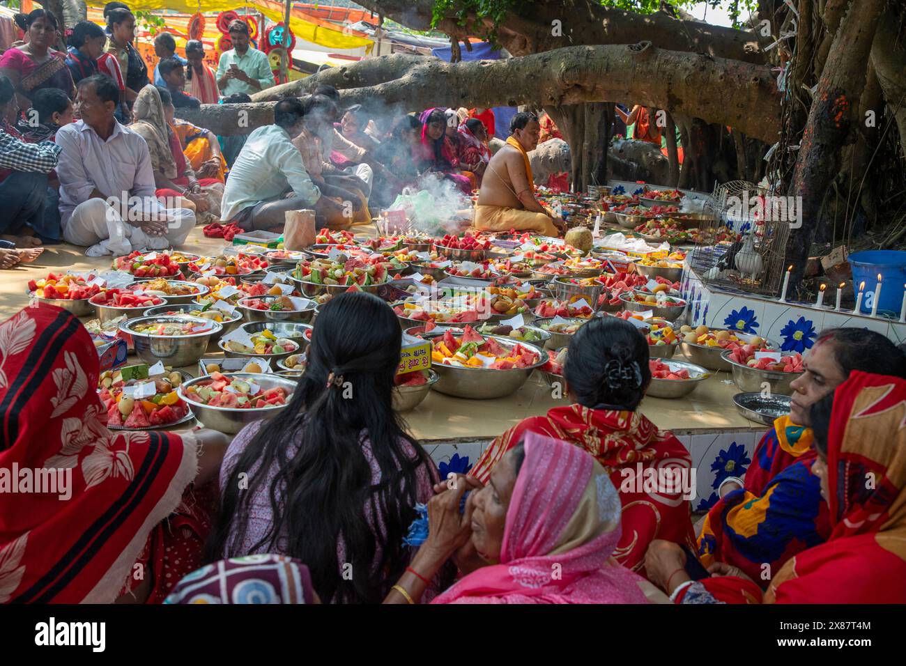 Devotees gather to worship the banyan tree near Sonargaon Upazila ...