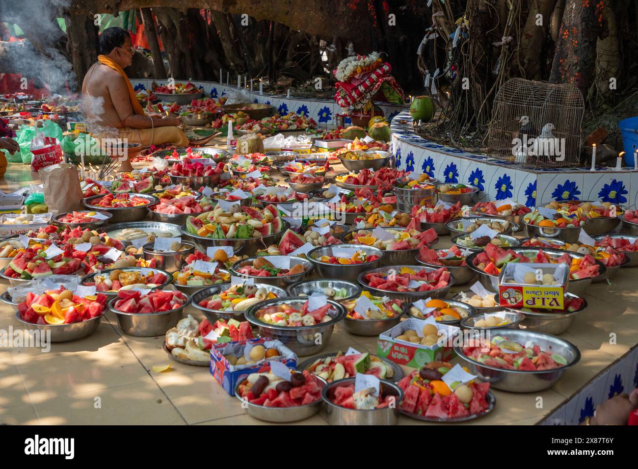Devotees gather to worship the banyan tree near Sonargaon Upazila ...