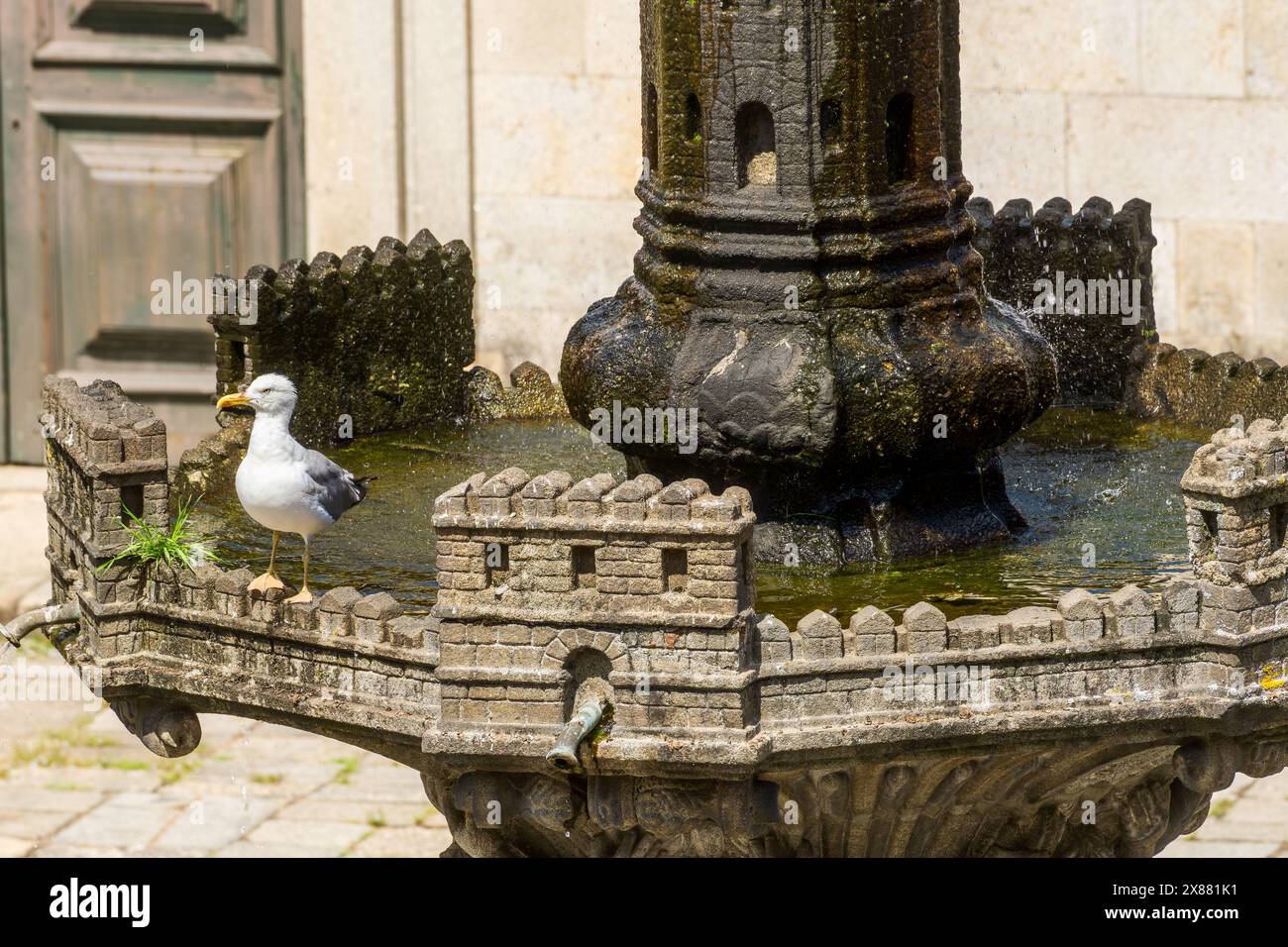 the Chafariz dos Castelos (fountain) , Braga, Minho, Portugal Stock ...