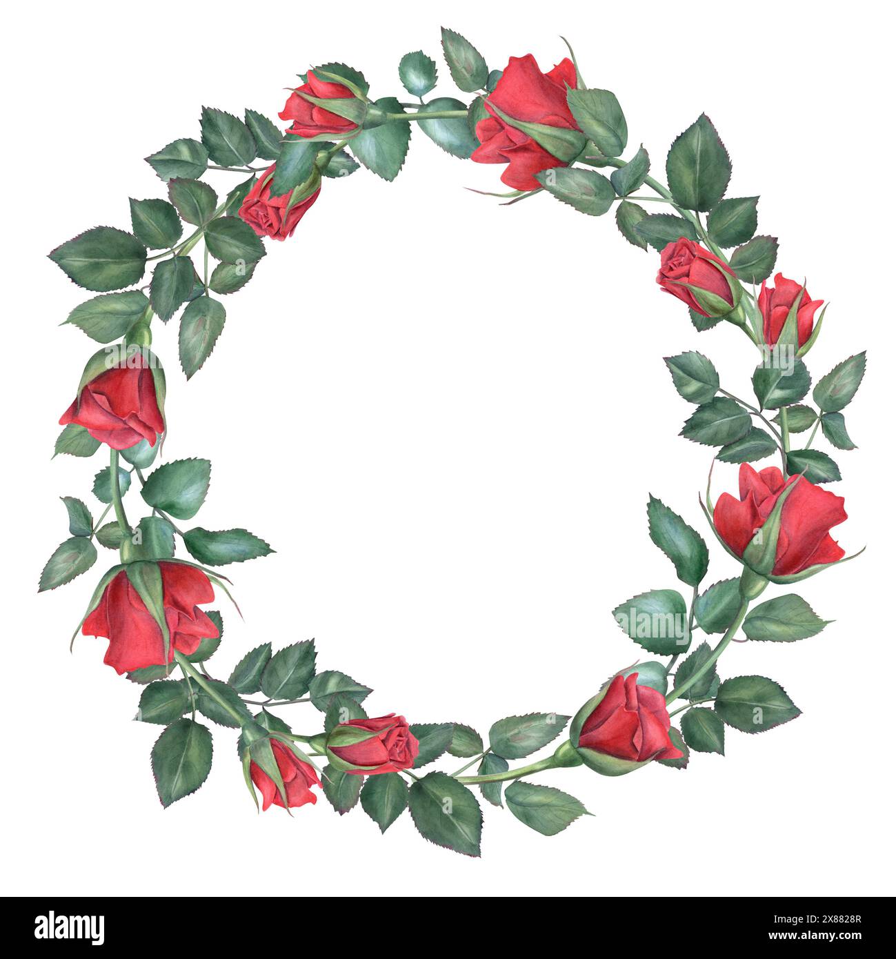 Roses. Wreath with rose branches in modern style. Dark red flower ...