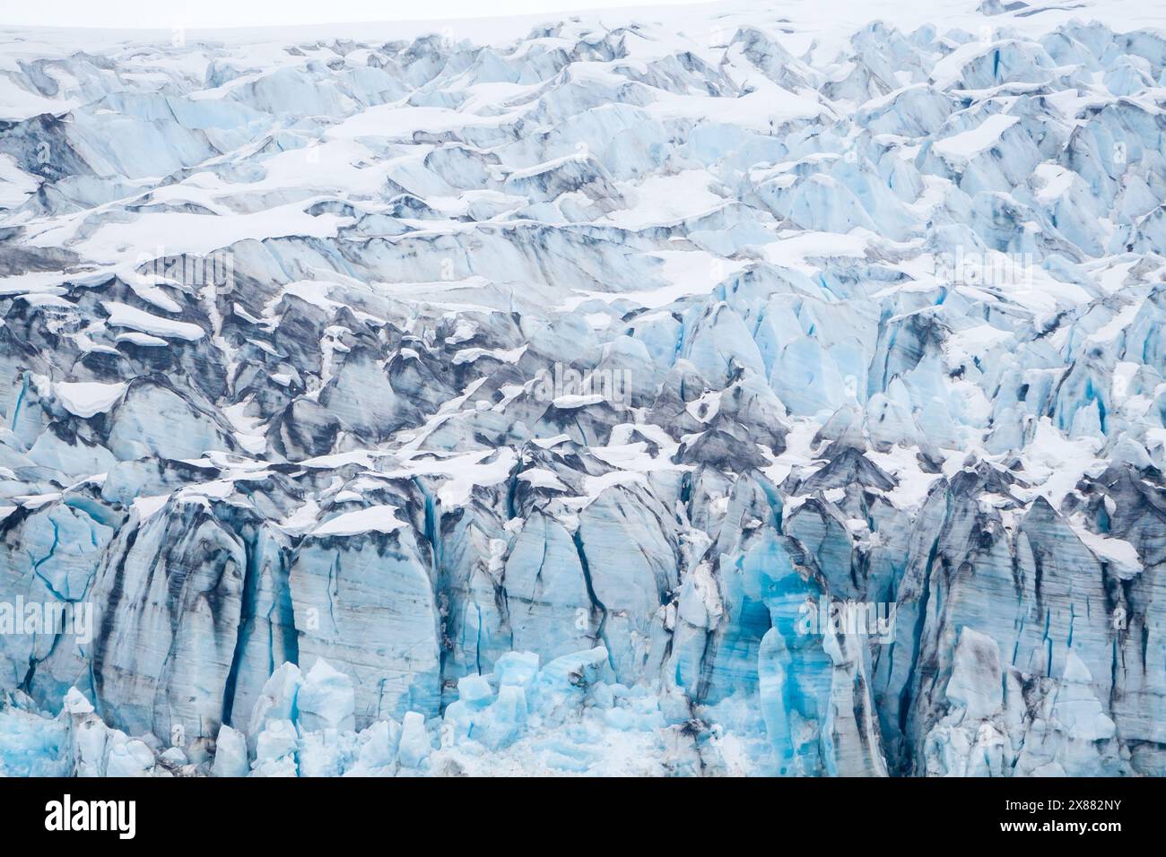 Close up of the blue ice of the Lamplugh Glacier terminus in Glacier ...