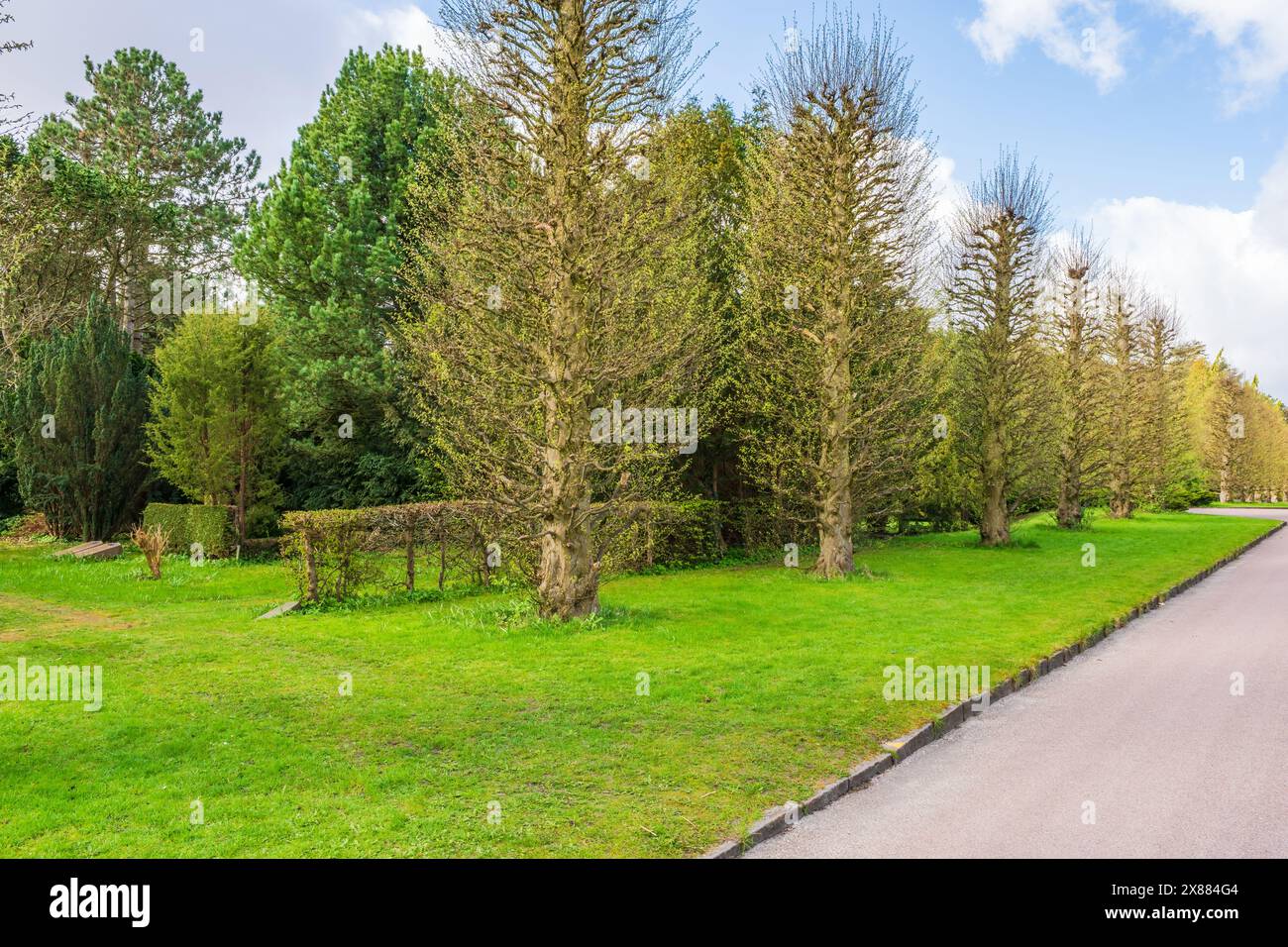 Bispebjerg Cemetery in Copenhagen, Denmark Stock Photo - Alamy