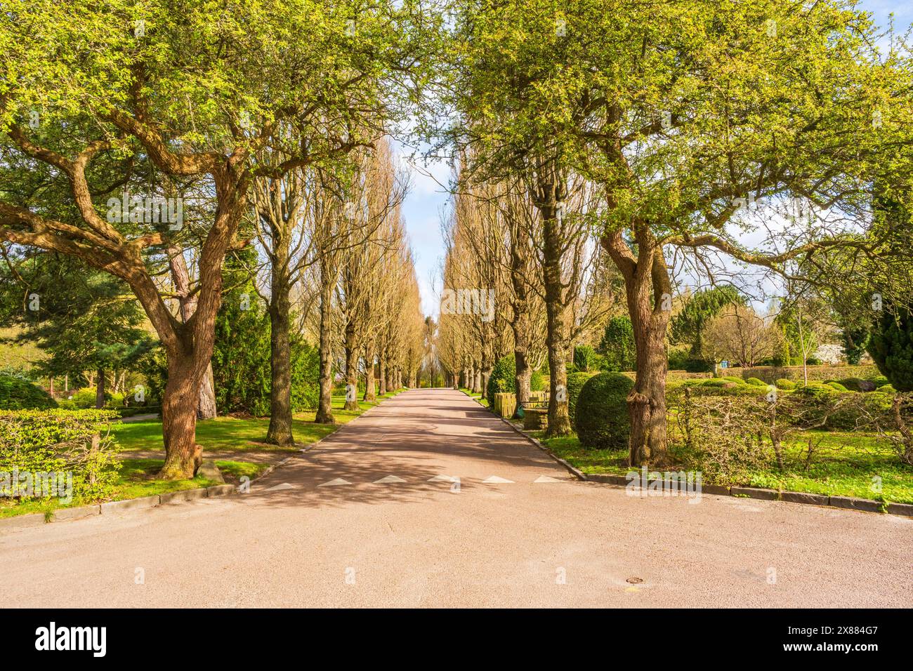 Bispebjerg Cemetery in Copenhagen, Denmark Stock Photo - Alamy