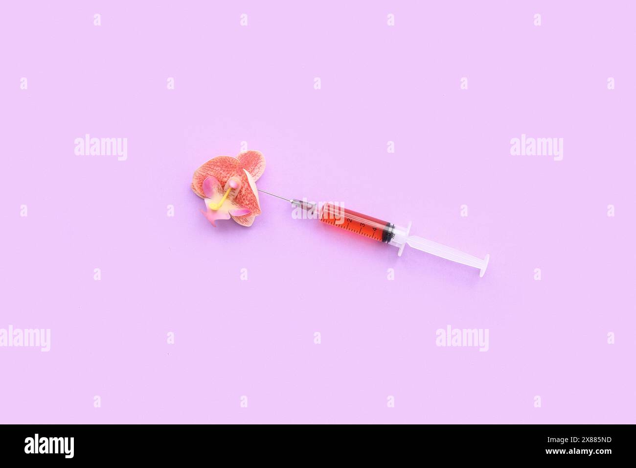 Medical syringe with medicine and flower on purple background Stock ...