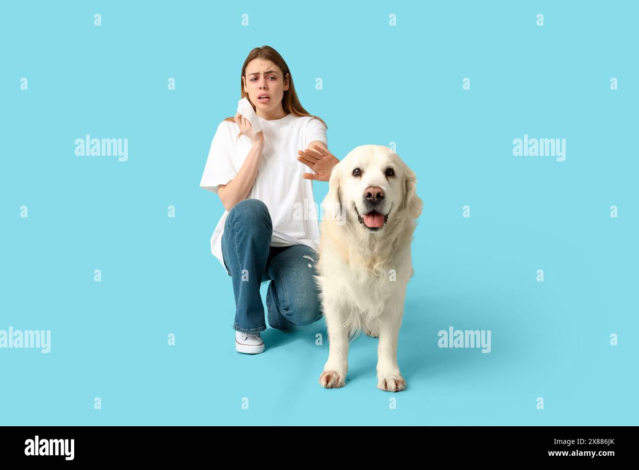 Young woman suffering from pet allergy with labrador dog on blue ...