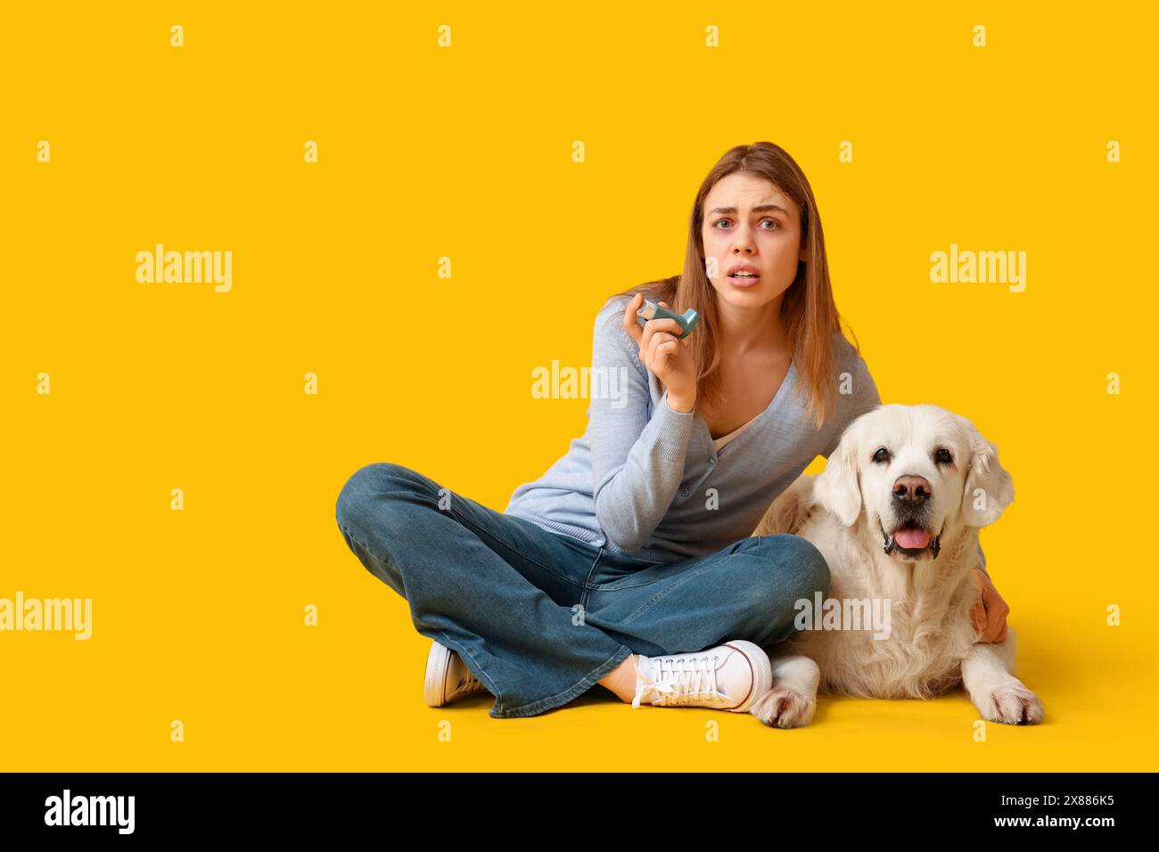 Young woman suffering from pet allergy with labrador dog on yellow ...