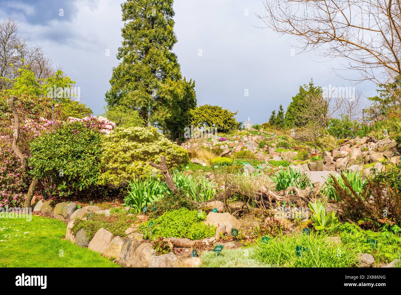 Botanical Garden in Copenhagen, Denmark Stock Photo - Alamy