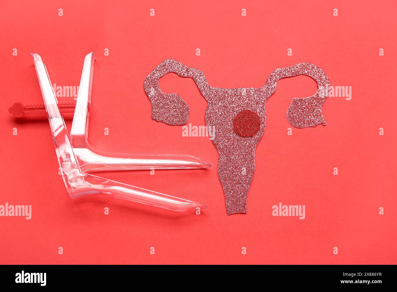 Paper uterus and gynecological speculum on red background Stock Photo ...